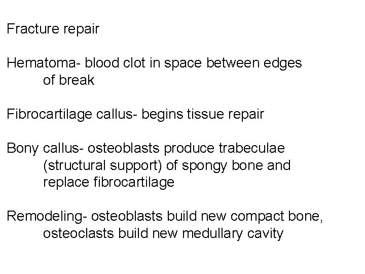 The skeletal system Structure and function of bone