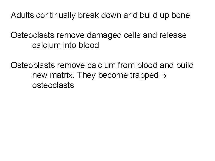 The skeletal system Structure and function of bone