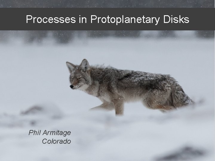 Processes in Protoplanetary Disks Phil Armitage Colorado Processes