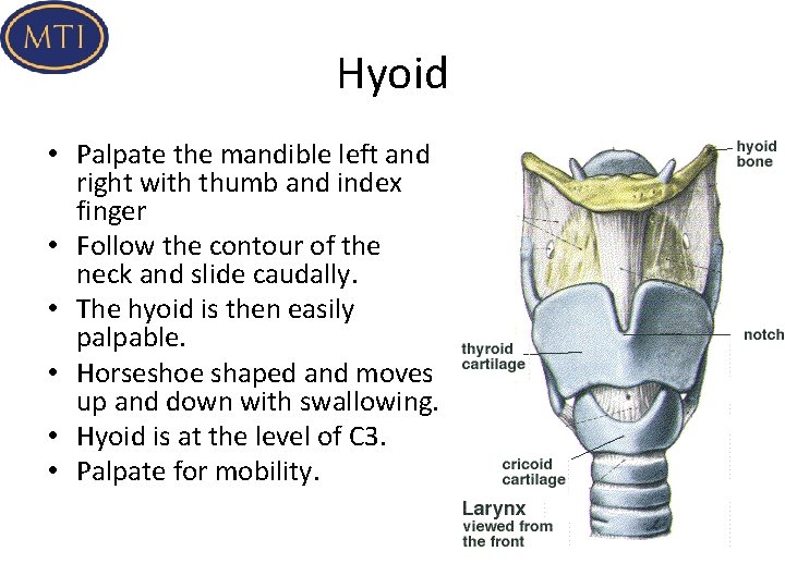 Advanced Cervical Spine Anatomy and Biomechanics Atlanto Occipital
