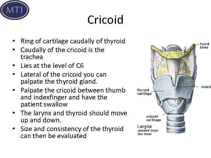 Advanced Cervical Spine Anatomy and Biomechanics Atlanto Occipital