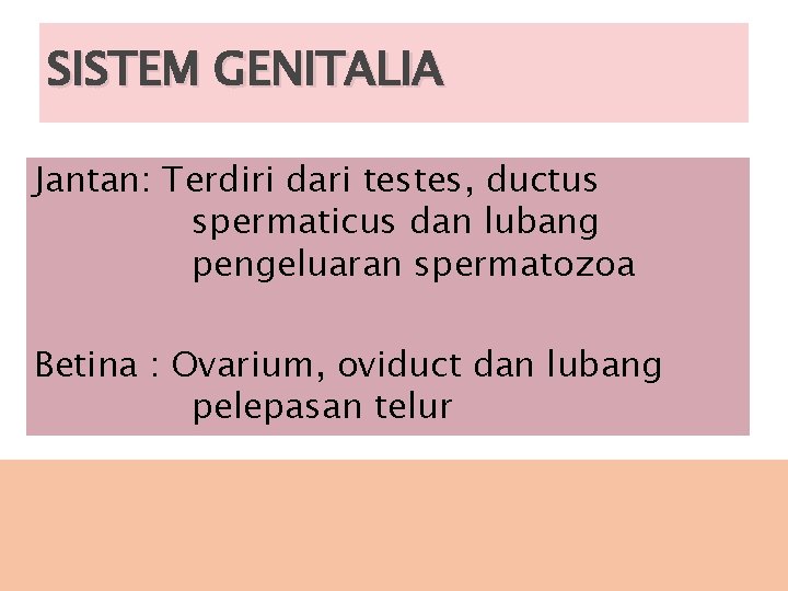 SISTEM REPRODUKSI IKAN perkembangbiakan Type reproduksi 1 Biseksual