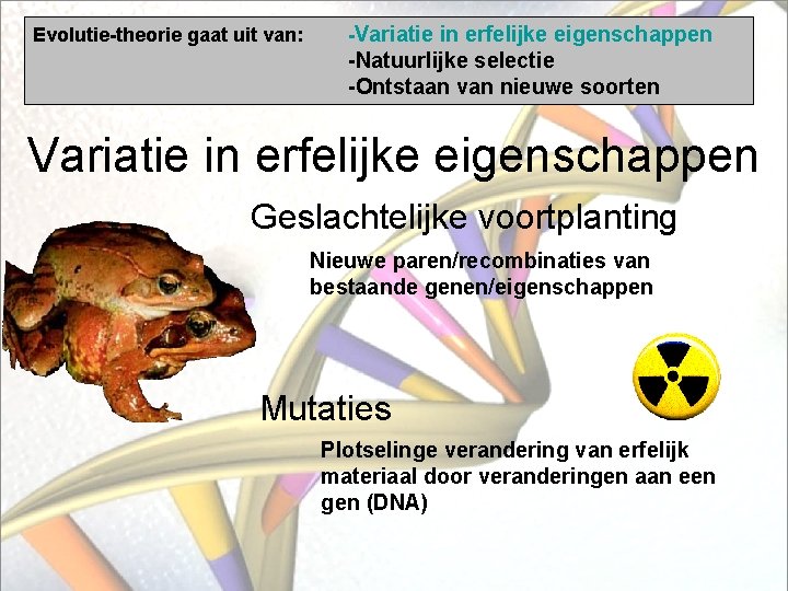 Evolutie De meeste biologen geloven dat 1 alle