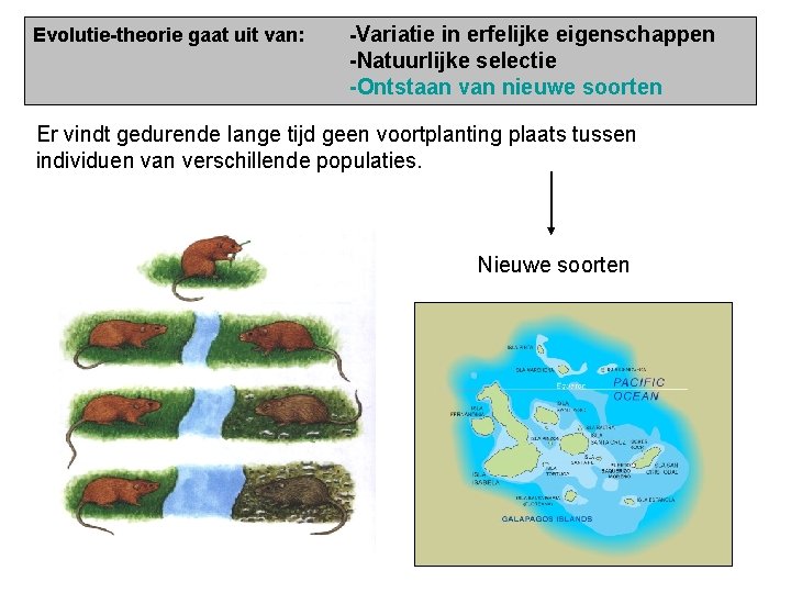 Evolutie De meeste biologen geloven dat 1 alle