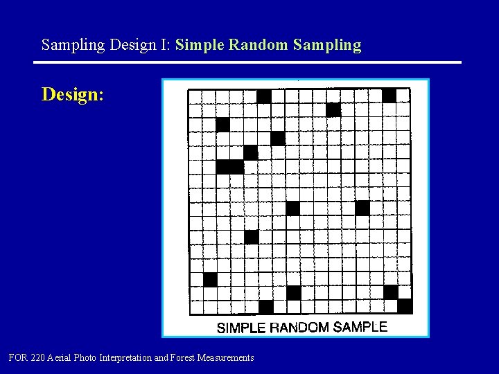 Sampling Designs Avery and Burkhart Chapter 3 Source