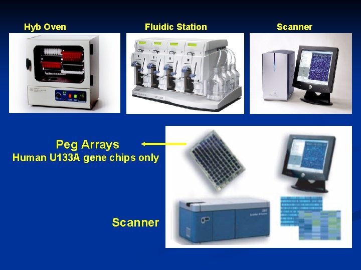 NHLBI Genomics Core Facility New Organizational Structure Mark