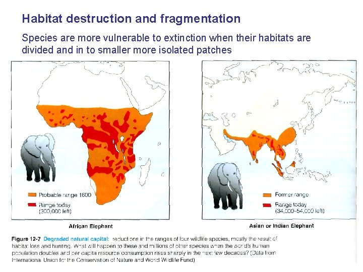 Chapter 12 Biodiversity The Species Approach What are