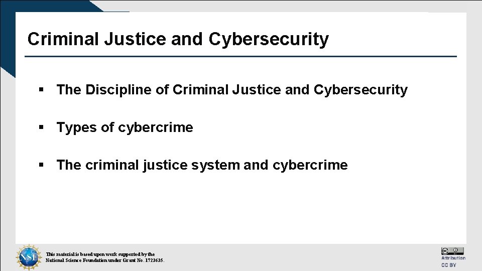Cybersecurity and Criminal Justice Brian K Payne Ph