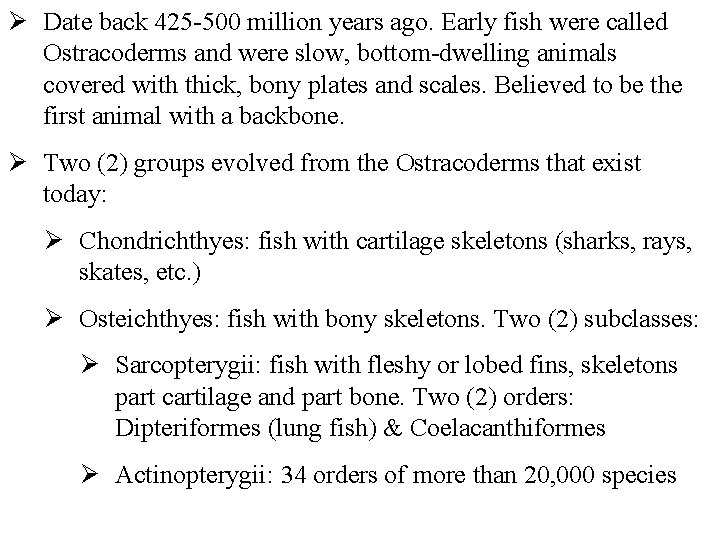 Date back 425 500 million years ago Early