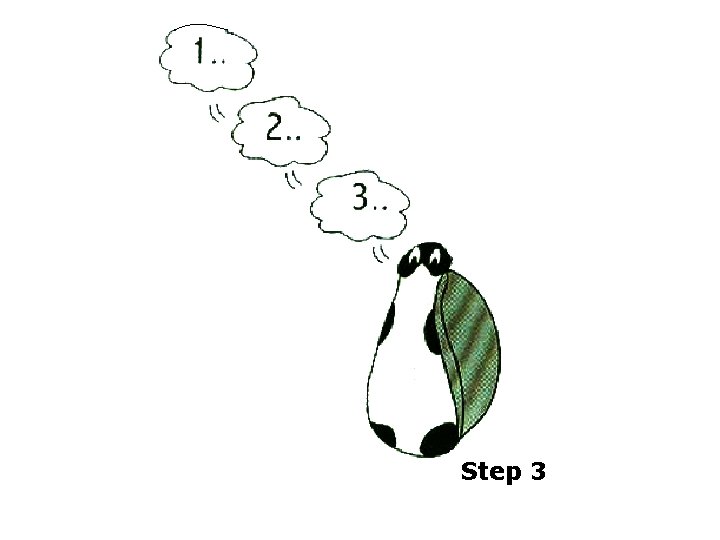 Turtle Technique The Turtle Technique is a technique