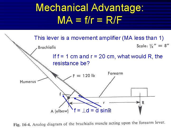 Biomechanics of musculoskeletal system pp 420 436 Objectives