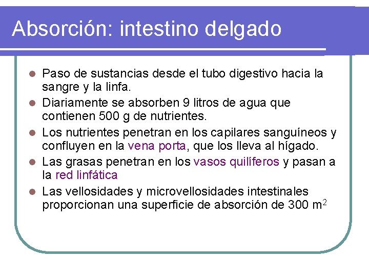 Tema 3 Anatoma y fisiologa del Aparato Digestivo