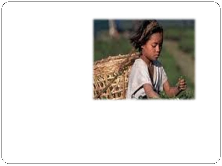 REPUBLIC ACT NO 9231 AND THE ROLE OF