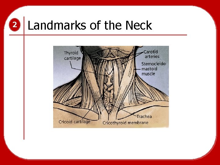 SeattleKing County EMTB Class Topics 1 Eye Injuries
