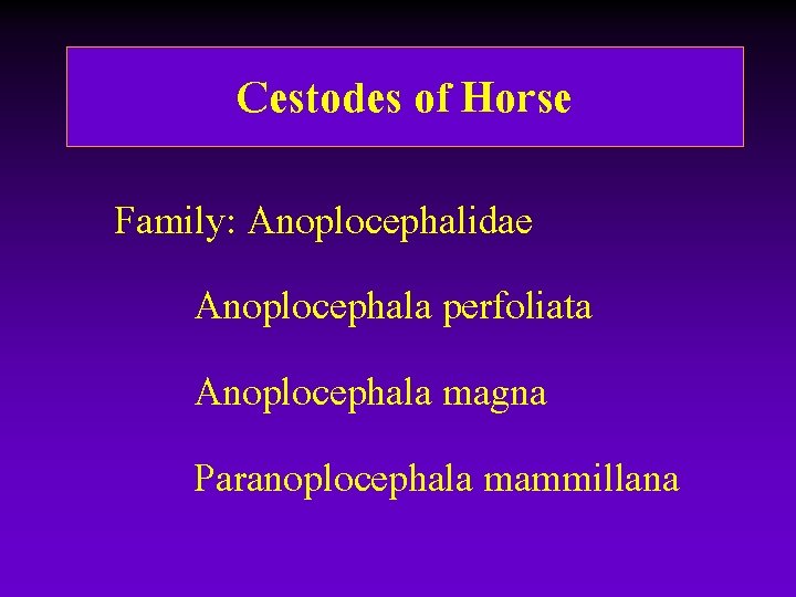 Cestodes of Horse Family Anoplocephalidae Anoplocephala perfoliata ...