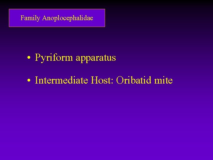 Cestodes of Horse Family Anoplocephalidae Anoplocephala perfoliata ...