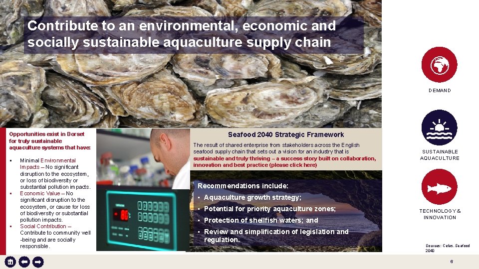 High Potential Opportunity Sustainable Aquaculture Developing and deploying
