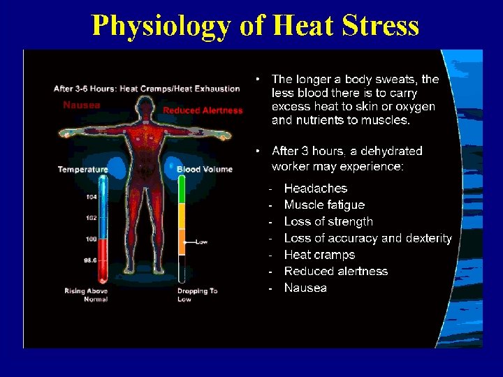 Heat Stress OSHA Technical Manual Overview Physiology of