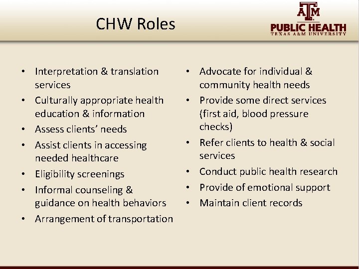 Developing a Community Health Worker Training Model for