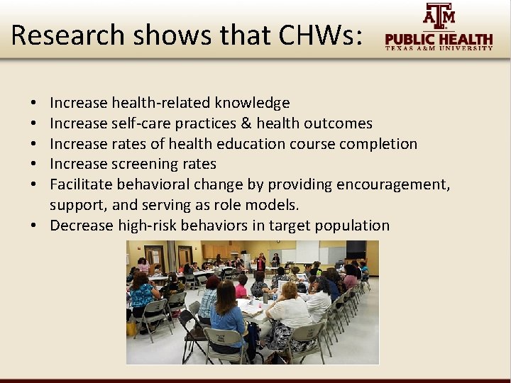 Developing a Community Health Worker Training Model for