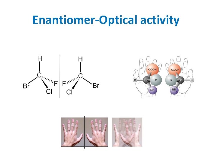 The origin of petroleum Zvi Gvirtzman The Institute