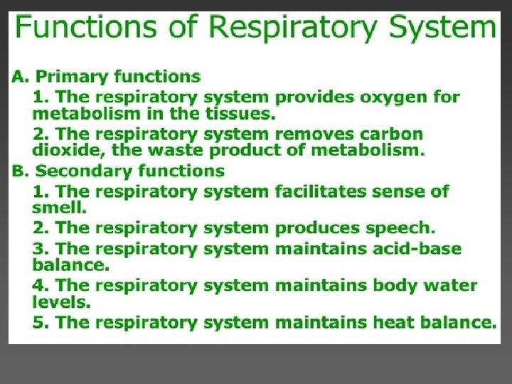 Basics of the Respiratory System Respiration What is