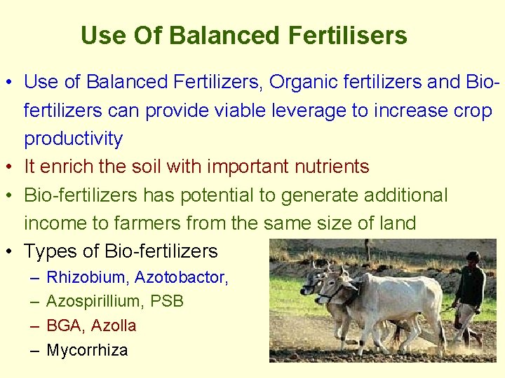 Sustainability and Role of Biofertilizers Dr Bhavesh Patel