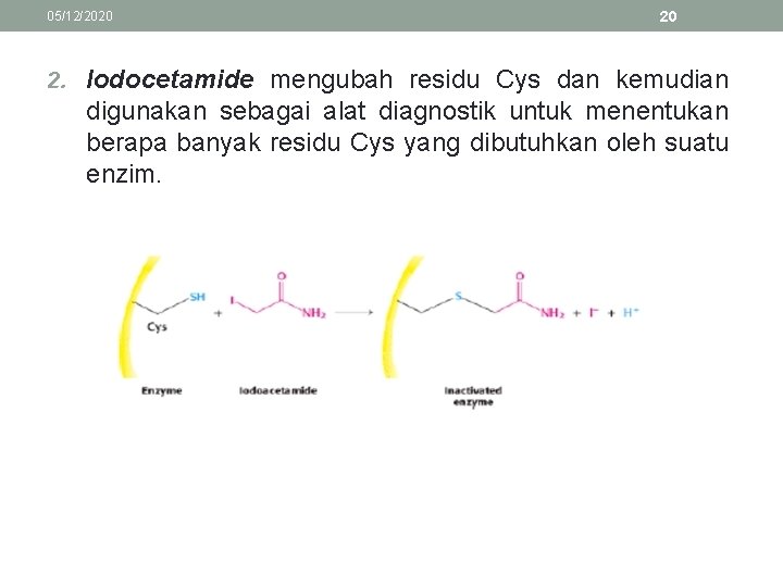 05122020 ENZIM KOENZIM KOFAKTOR SRI WAHYUNI BAGIAN BIOKIMIA