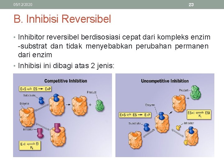 05122020 ENZIM KOENZIM KOFAKTOR SRI WAHYUNI BAGIAN BIOKIMIA