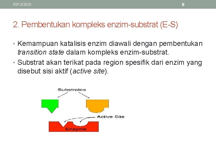05122020 ENZIM KOENZIM KOFAKTOR SRI WAHYUNI BAGIAN BIOKIMIA