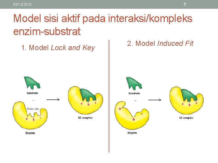 05122020 ENZIM KOENZIM KOFAKTOR SRI WAHYUNI BAGIAN BIOKIMIA
