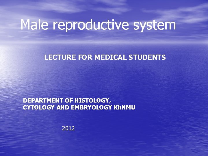 Male reproductive system LECTURE FOR MEDICAL STUDENTS DEPARTMENT