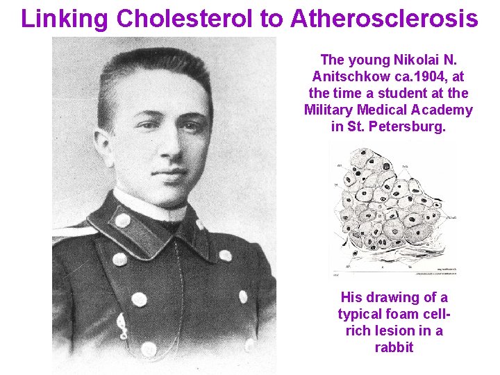 What Should be the Lipid Targets in Patients