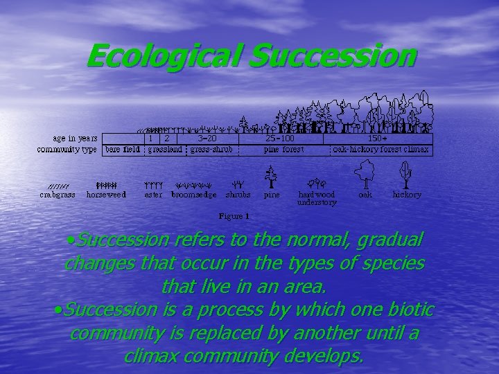 Ecological Succession Succession refers to the normal gradual