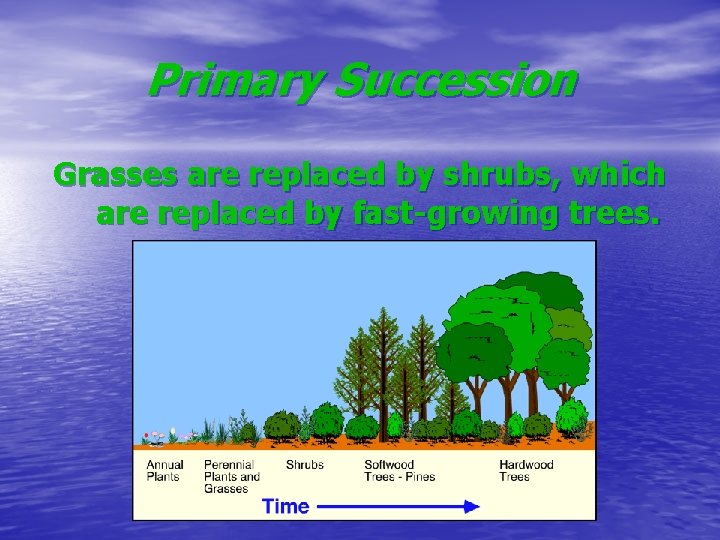 Ecological Succession Succession refers to the normal gradual