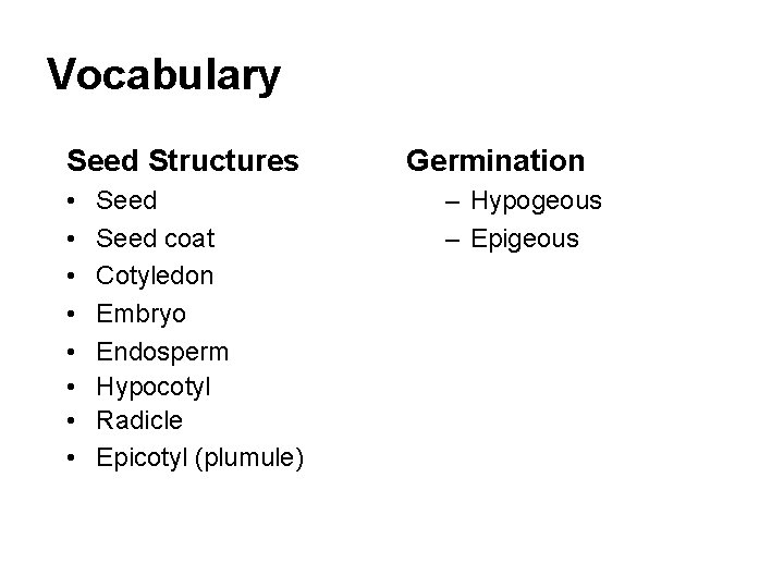 Plant Structure and Function He eats shoots and