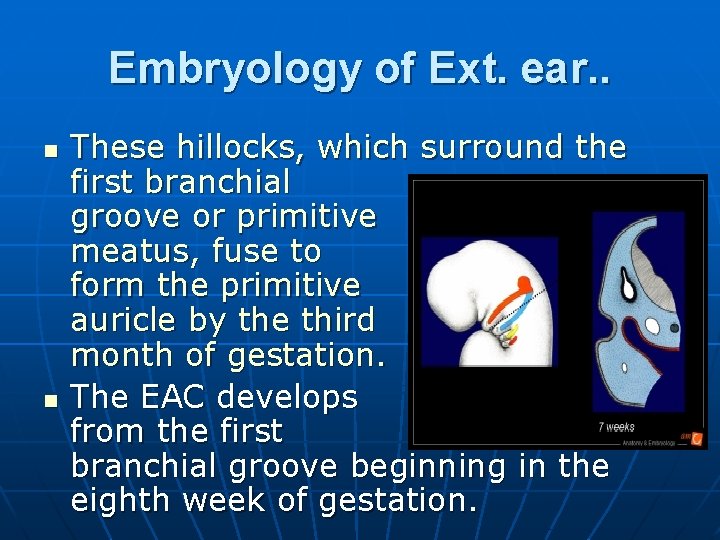 CONGENITAL ANOMALIES OF EAR ANATOMY ANATOMY OF EAR