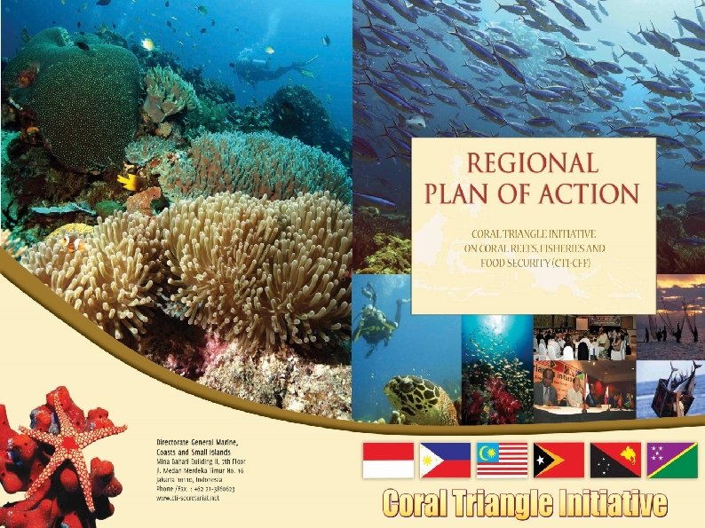 WHAT IS THE CORAL TRIANGLE INITIATIVE on CORAL