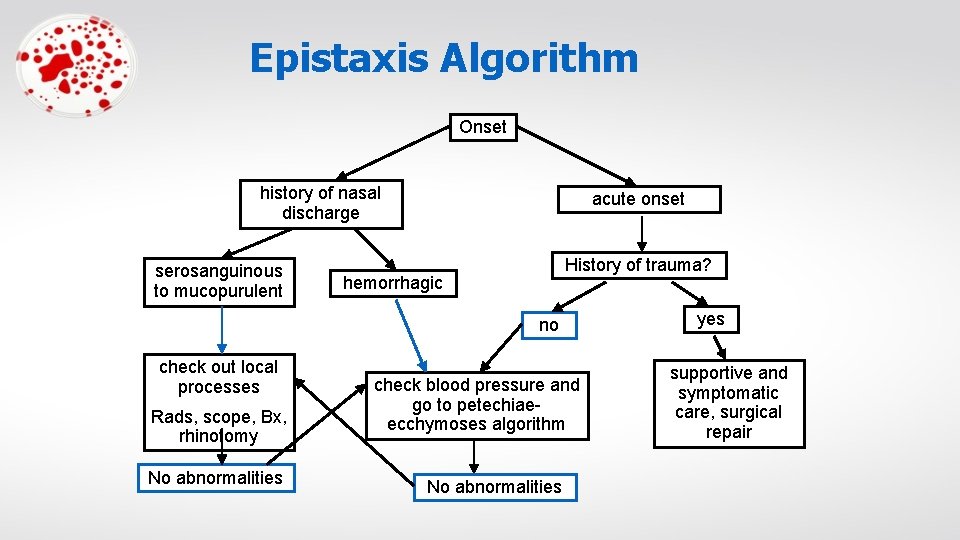 Coagulopathy Diagnostic Algorithms Wendy Blount DVM EcchymosesPetechiae ...