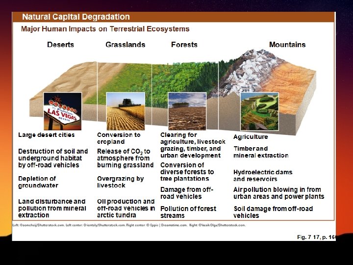 Climate Terrestrial Biodiversity Ch 7 What is Climate