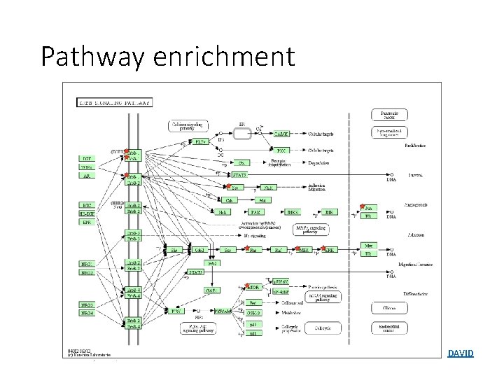 Cancer hallmarks omic data and data resources Anthony