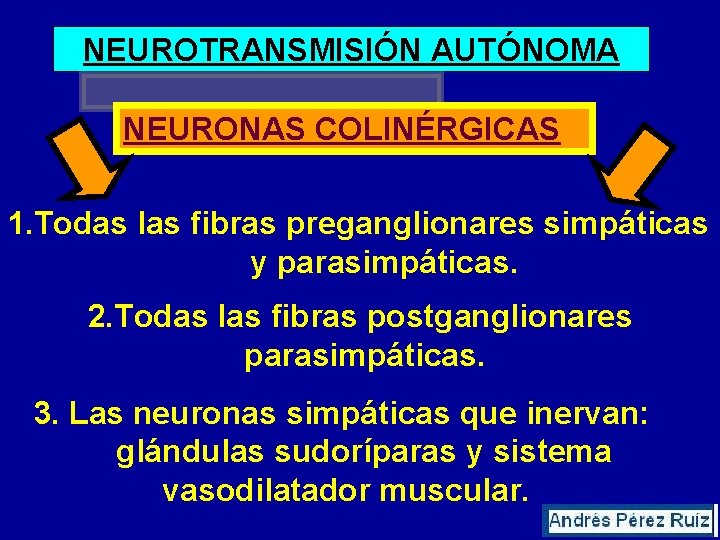 Sistema Nervioso Autnomo Sistema lmbico e hipotalmo Paciente