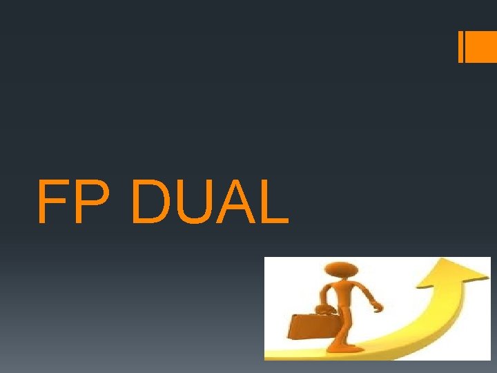 FP DUAL CARACTERSTICAS BSICAS DEL PROGRAMA SON LAS