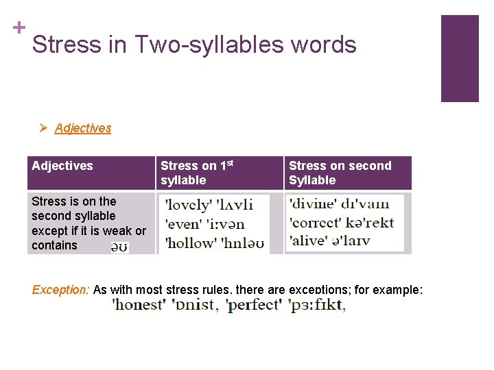 The Stress in English Lecturer Ms Tiaiba Imane
