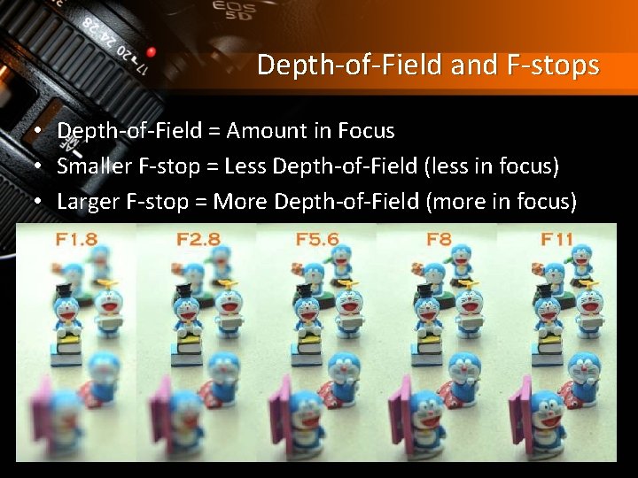 Photography Merit Badge Troop 344 Pemberville OH Photography