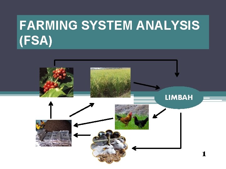 FARMING SYSTEM ANALYSIS FSA LIMBAH 1 USAHA PERTANIAN