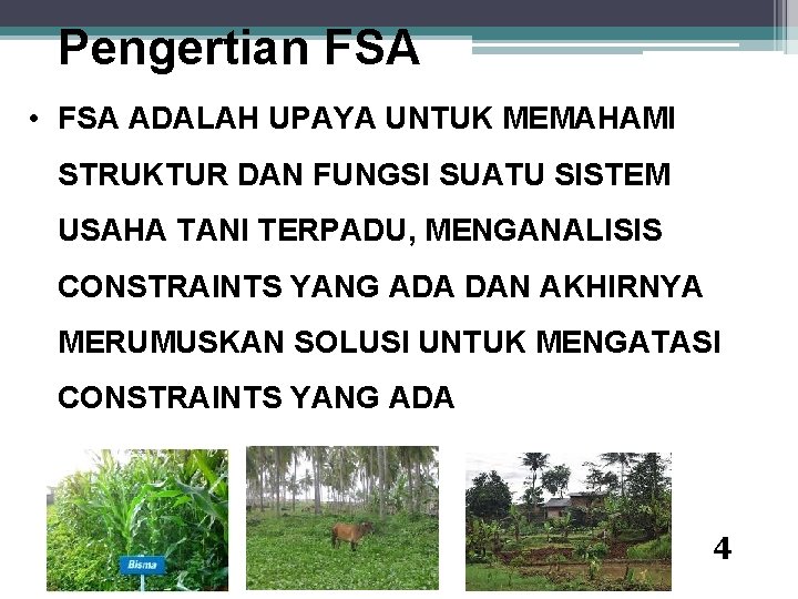FARMING SYSTEM ANALYSIS FSA LIMBAH 1 USAHA PERTANIAN
