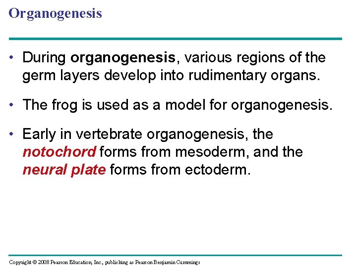 Chapter 47 Animal Development Power Point Lecture Presentations