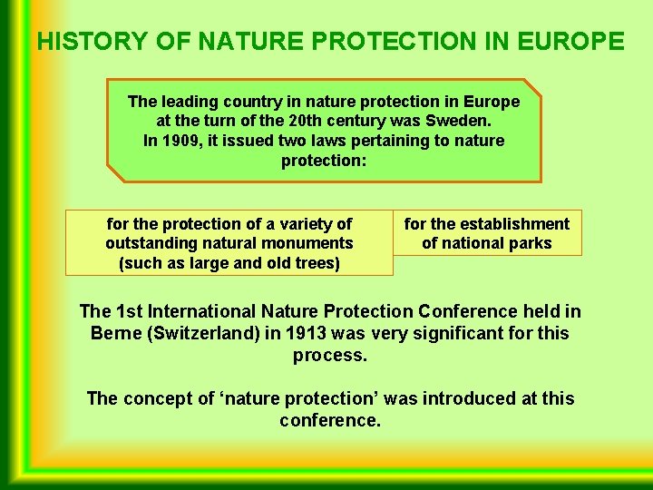 NATURE CONSERVATION 7 Wonders of Nature Amazon Rainforest