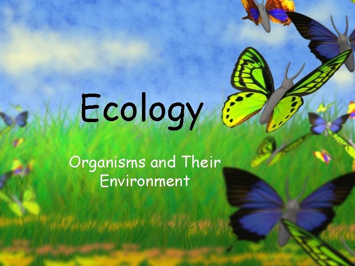 Ecology Organisms and Their Environment What is Ecology